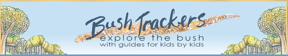 Community Involvement | Springwood & District Preschool Kindergarten